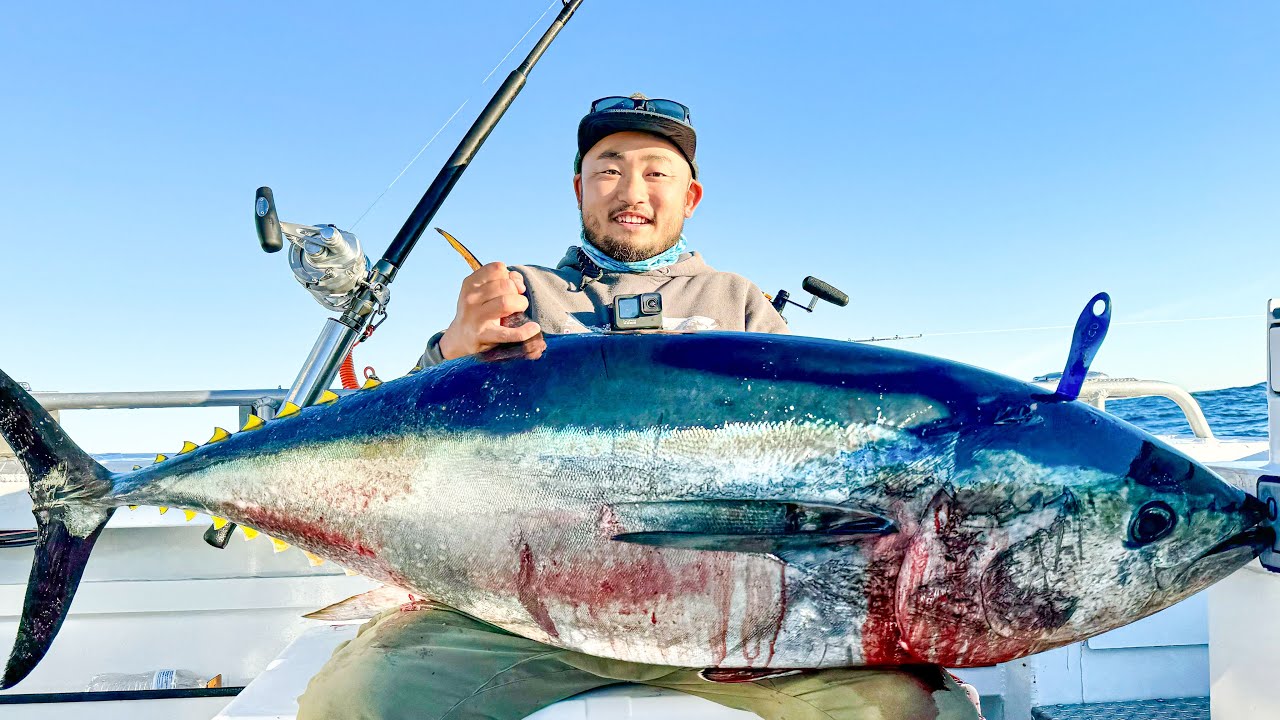 Discovering Bay Area’s bluefin delights