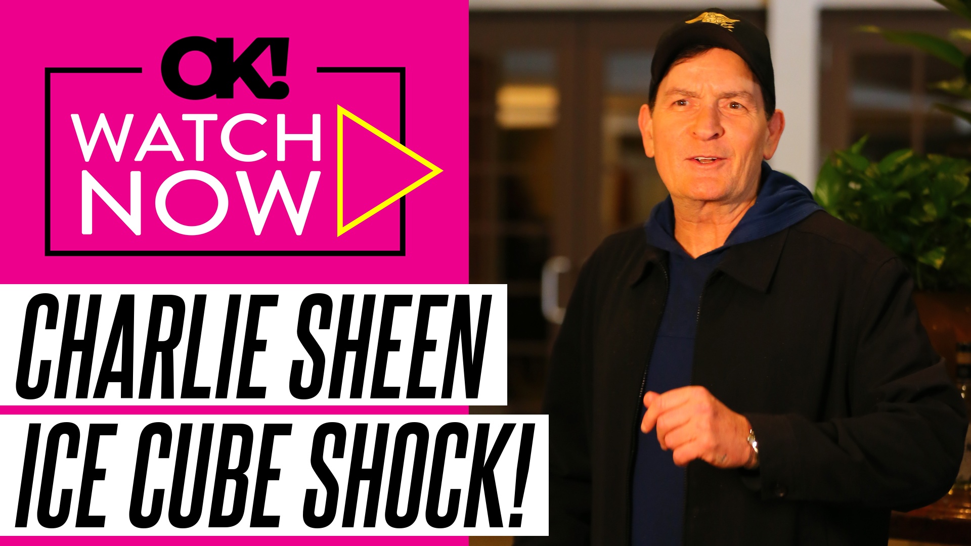 Charlie Sheen Reveals He Once Stuck an Ice Cube Up His Butt in New ...