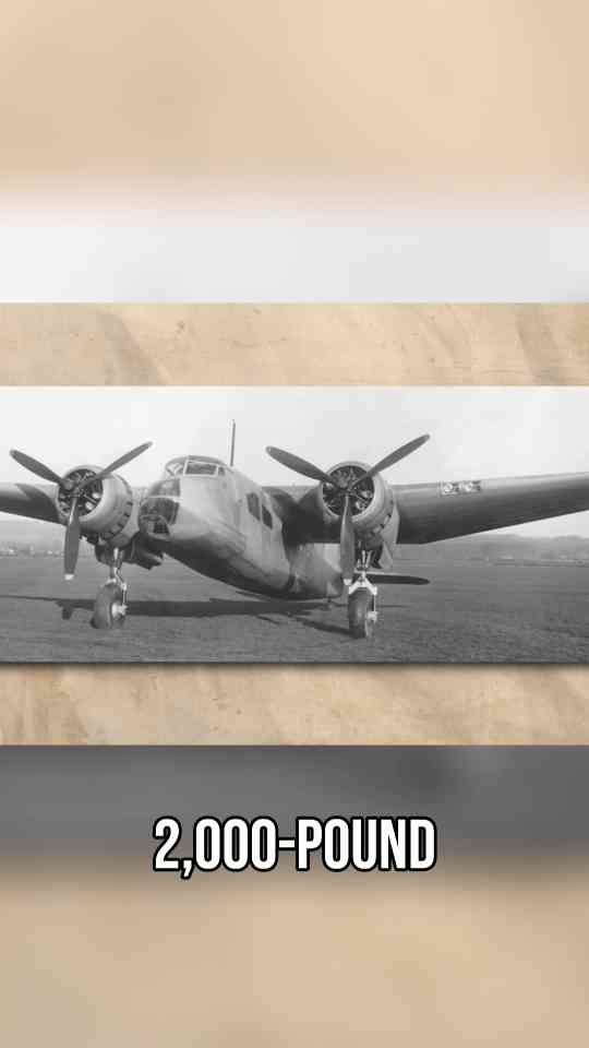 Botha aircraft - why the RAF didn't trust this bomber