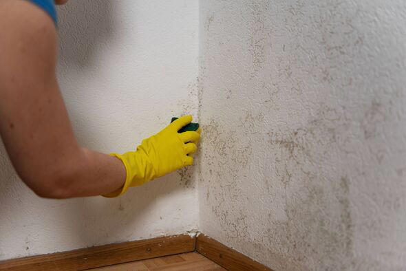 'I'm a paint expert and this £1.30 method kills mould and stops it ...