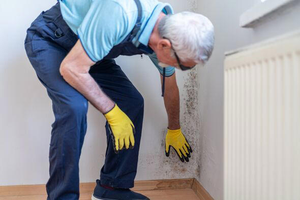 'I'm a paint expert and this £1.30 method kills mould and stops it ...