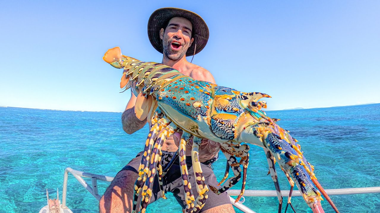 Catching Giant Lobsters on The Great Barrier Reef!
