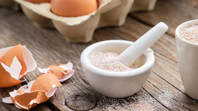 3 home remedies to keep lizards away from your home permanently