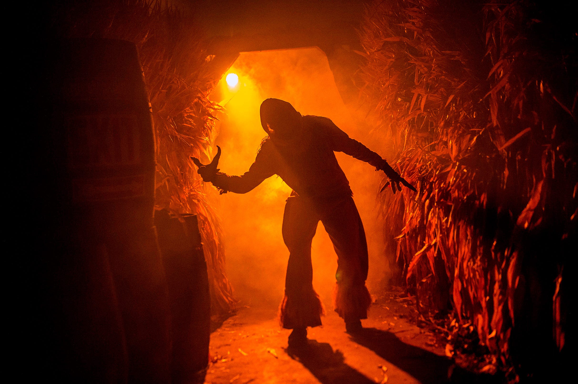 HalloWeekends opens at Cedar Point. There's a major change you need to ...
