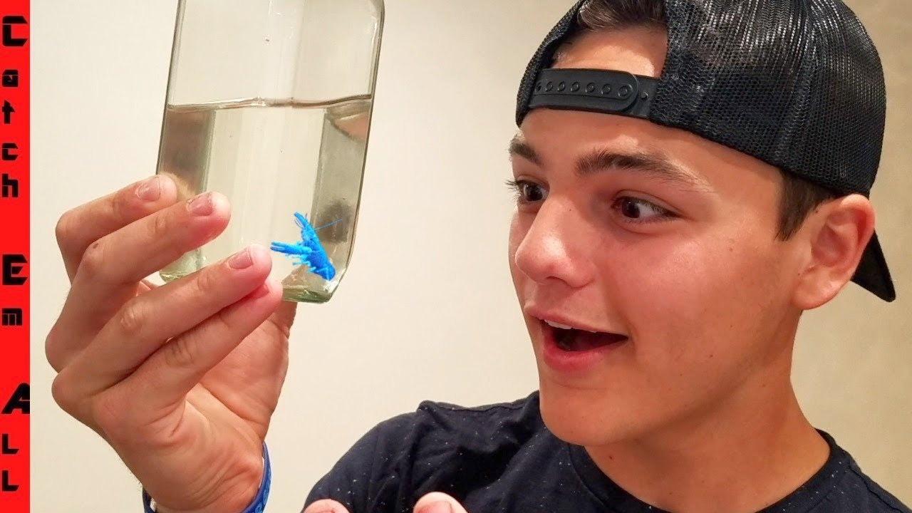 PAUL CUFFARO Secret NEW MICROSCOPIC PET Fish Gift and HOUSE TOUR!