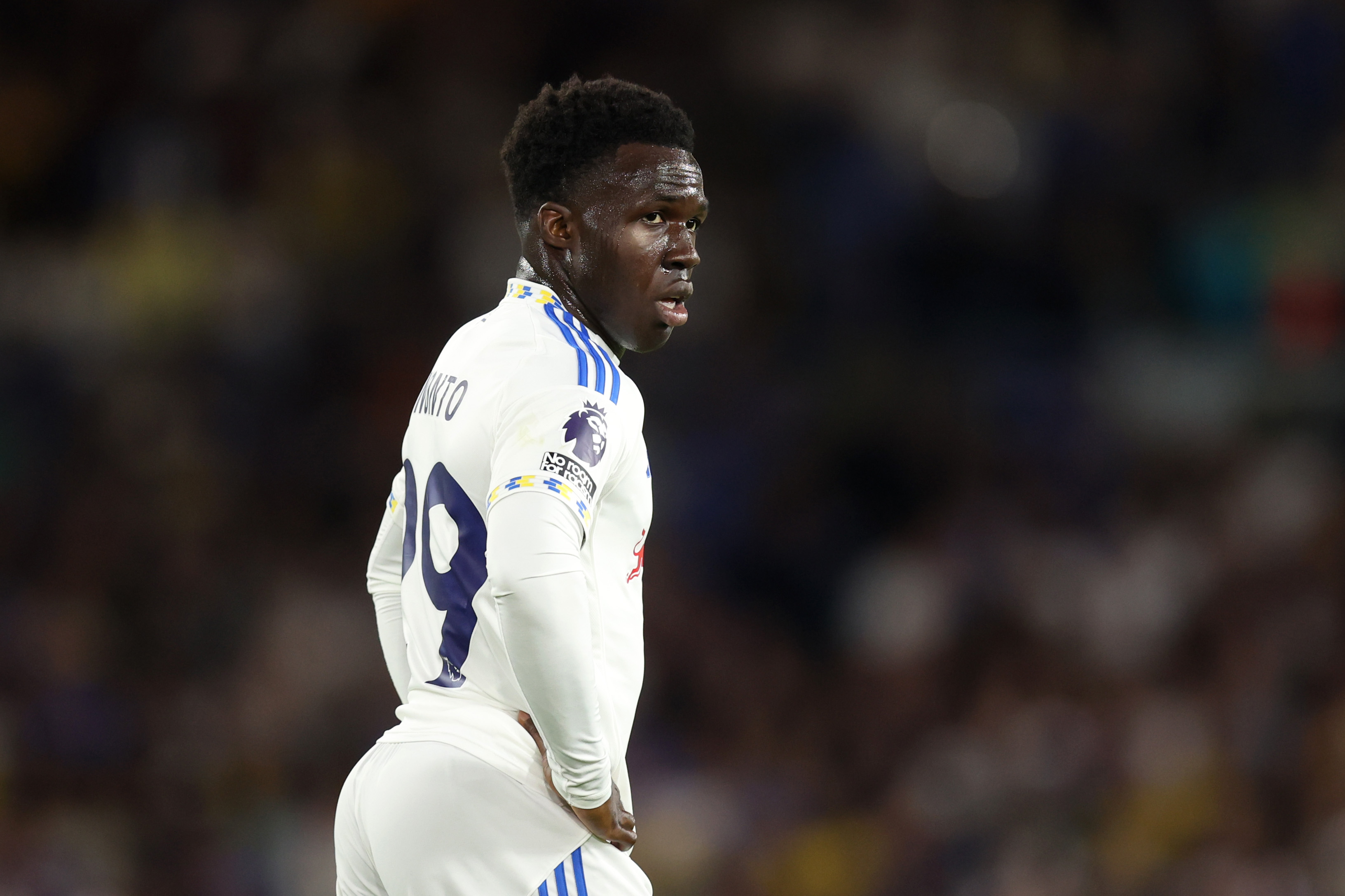 Willy Gnonto's honest verdict on Leeds United squad after £100m ...