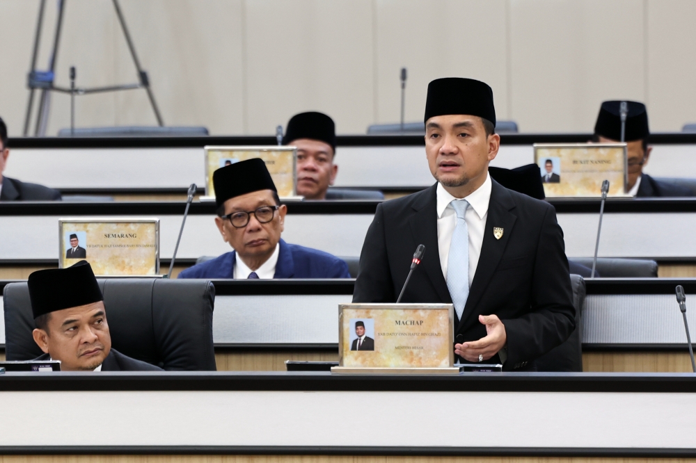 From farmers to single mothers: Johor launches RM209m relief programme