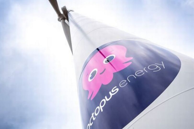 Octopus Energy cuts customers' monthly bills to £0 for 10 years