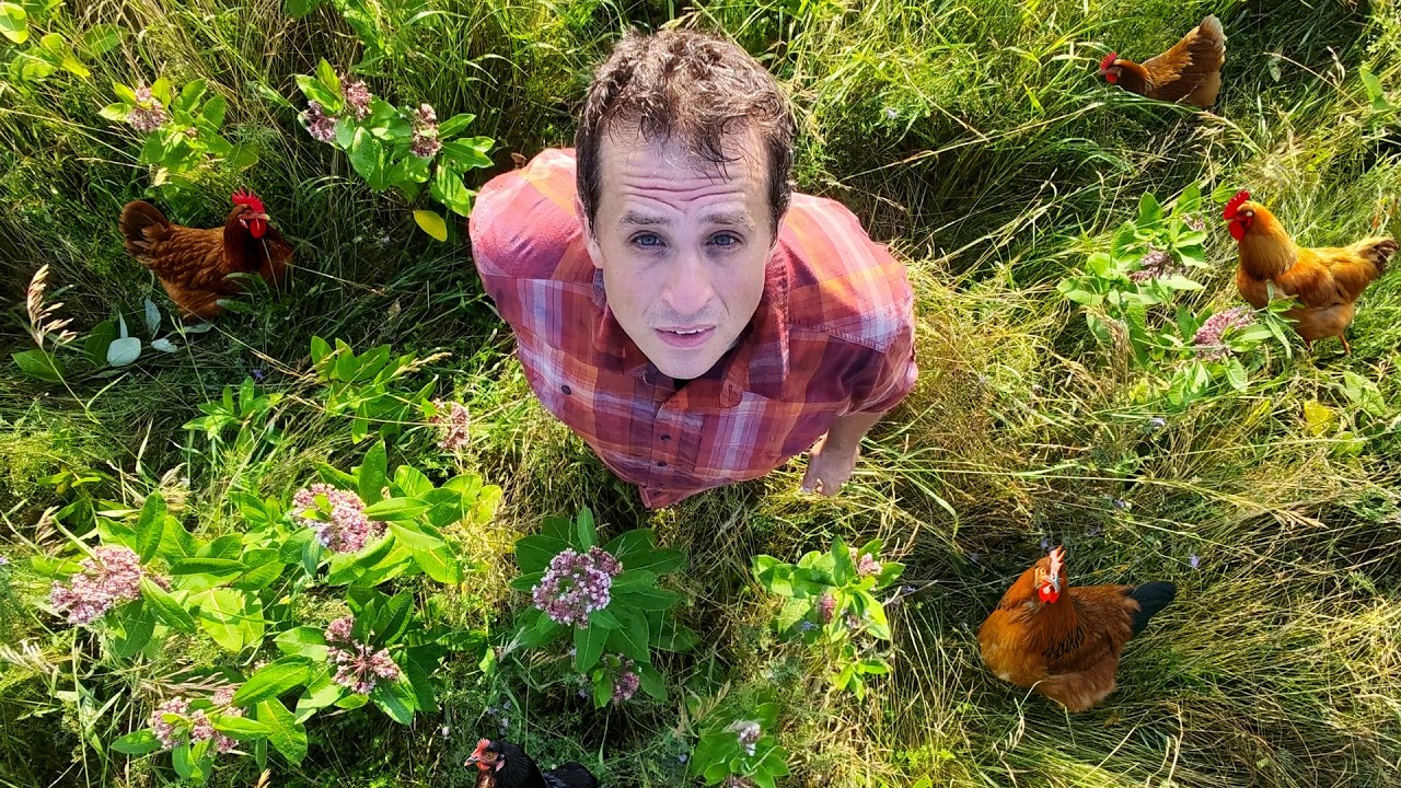 Why people keep telling farmers to go touch grass