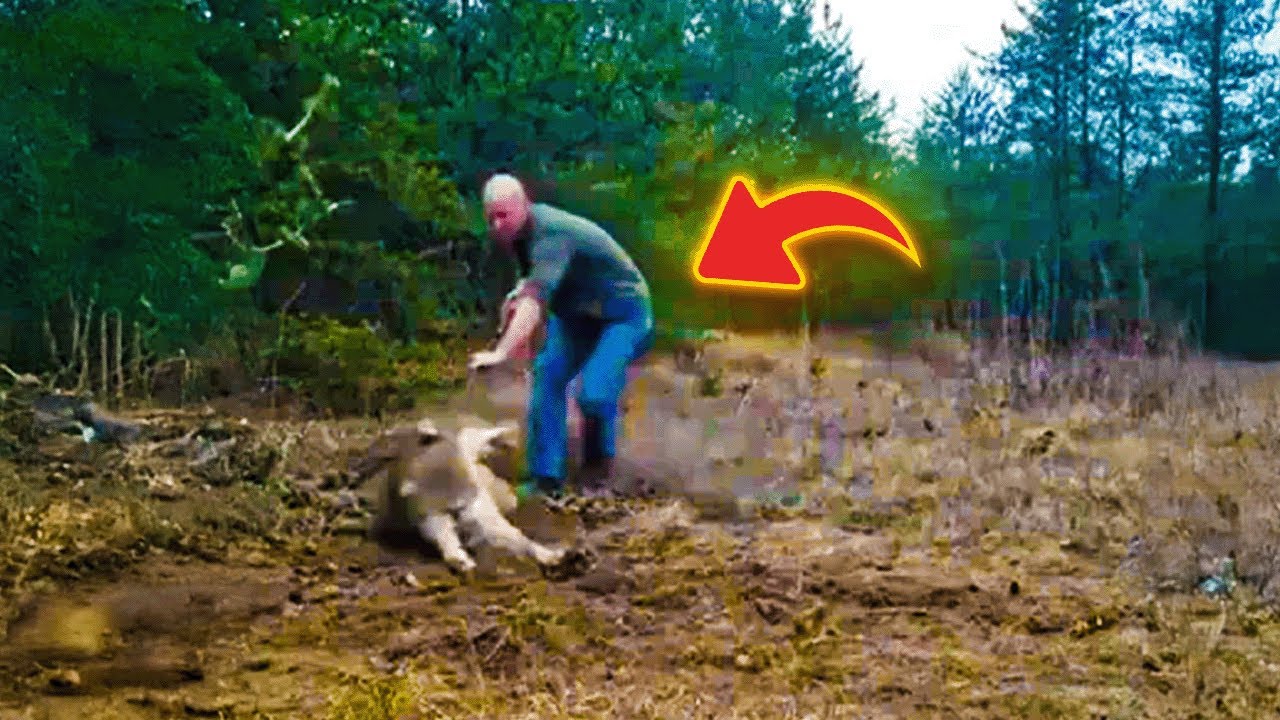 Man Risks Everything to Save a Dying Wild Animal