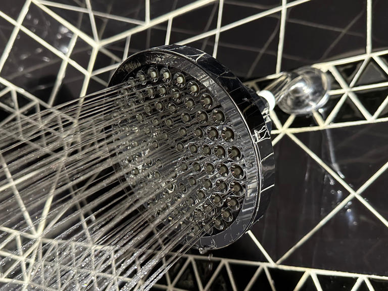 The 7 best filtered shower heads for softer skin and shinier hair