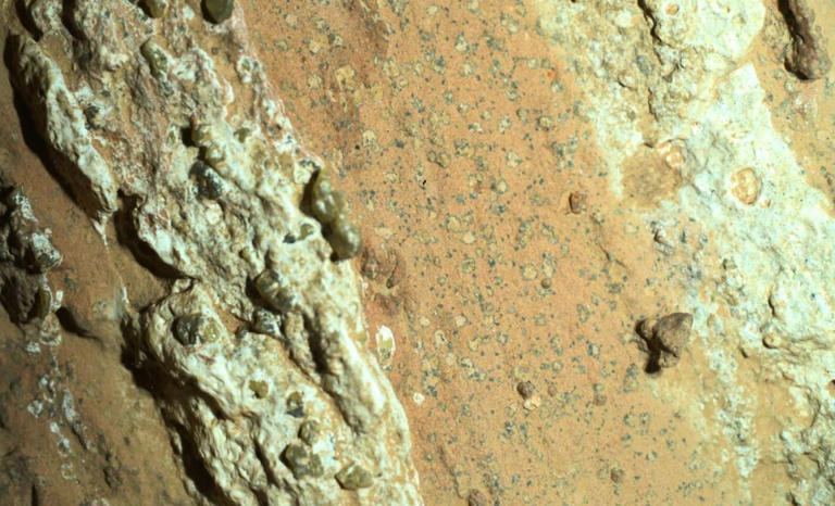 NASA’s Perseverance Rover Discovers Potential “Sign of Ancient Life” on ...