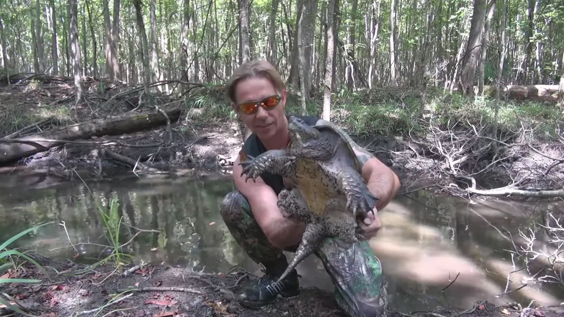 Snapping turtle fail