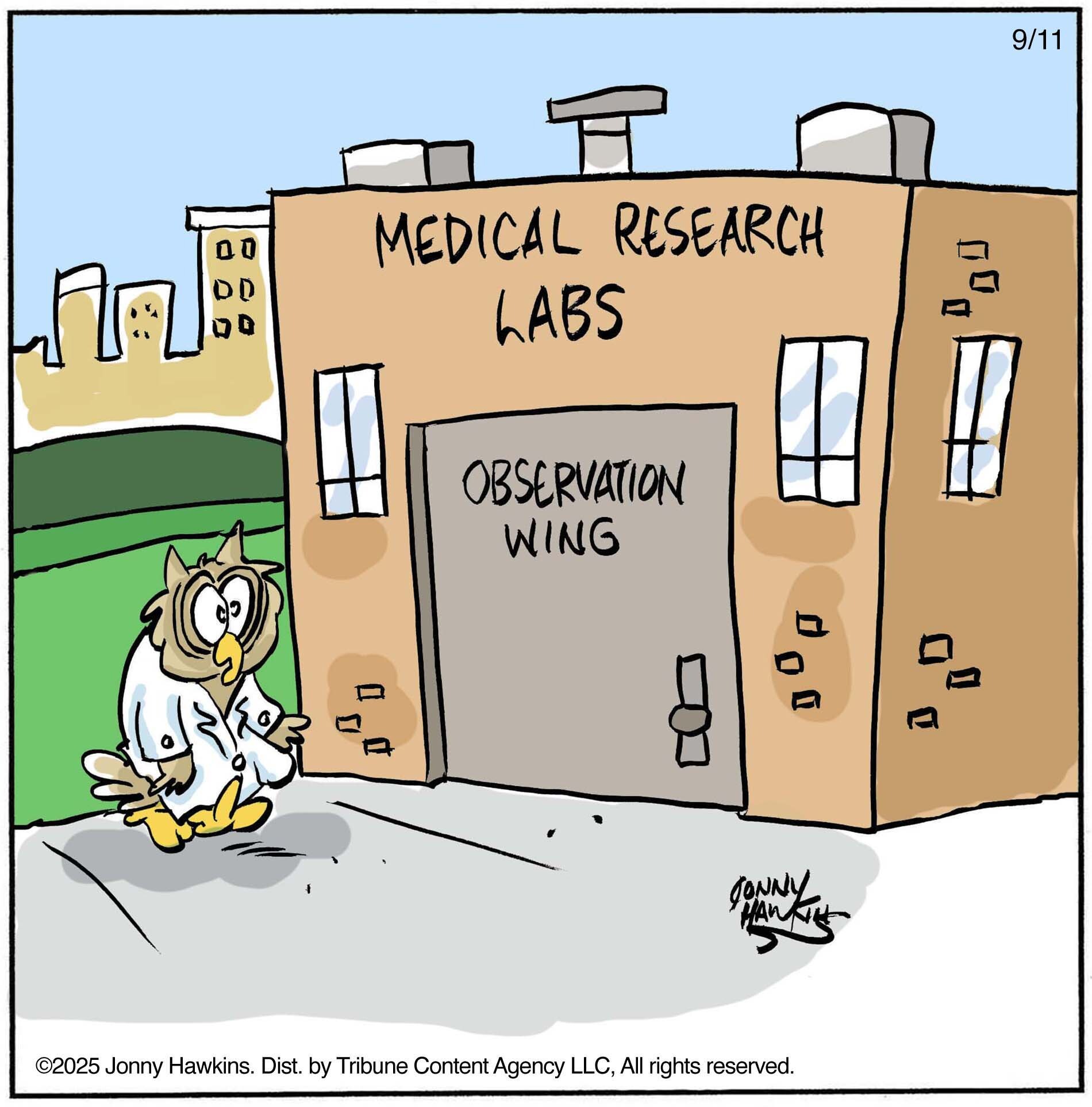 Zoolies by Jonny Hawkins