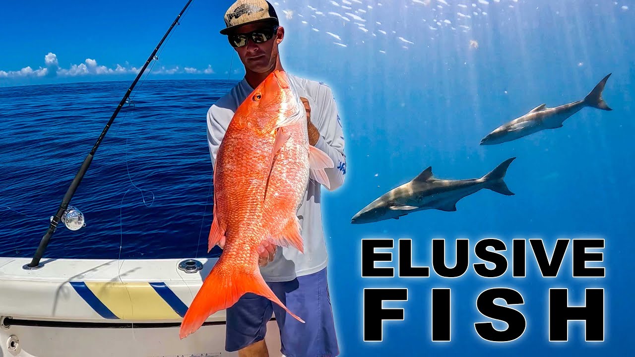 The Red Snapper Mission: Offshore Challenge