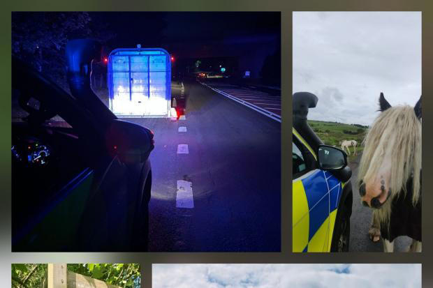 Police report 'continued spike' in quad bike, fuel, livestock, and tool ...