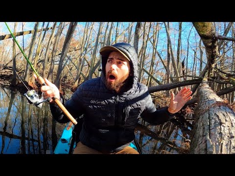 Shots Fired While Fishing Crappie in the Swamp Cookout