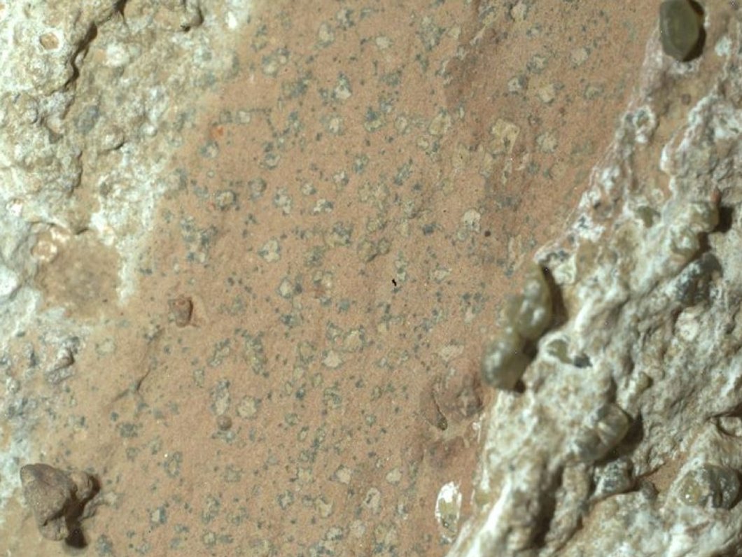 Mega discovery: NASA finds evidence of life on Mars