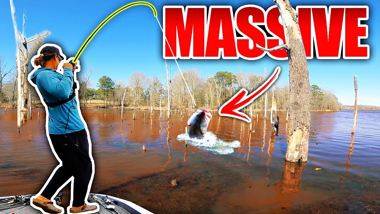 Rare monsters are hiding in this flooded forest