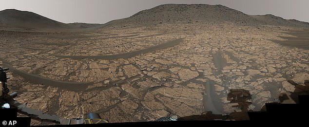 Scientists reveal what aliens could REALLY look like on Mars, as NASA ...