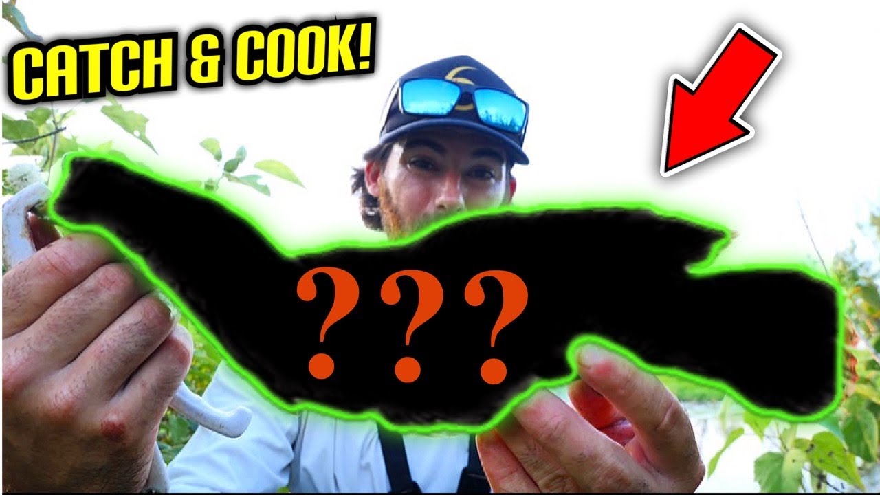 Ultra rare bucket list fish caught and cooked outdoors