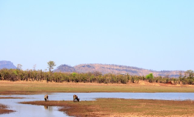 Authorities complete incredible effort in national park that had been ...