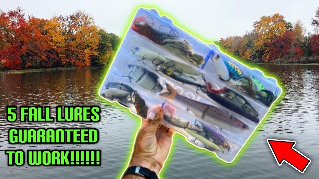 5 bass lures guaranteed to get bites this fall season