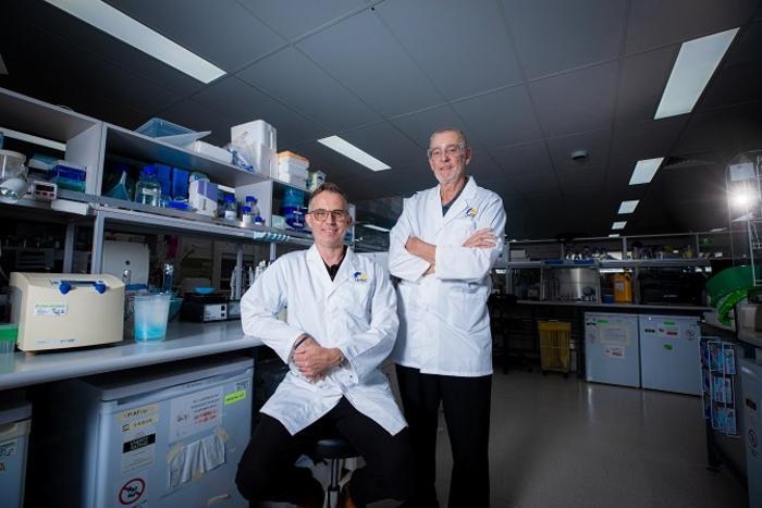 World's first vaccine for koalas approved to combat chlamydia