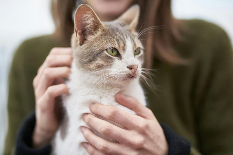 11 Animals That Form Deep Bonds With Their Humans