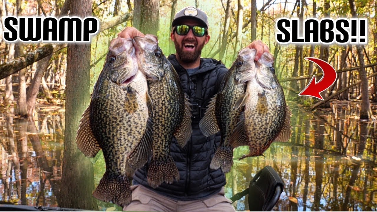 Hidden Swamp Spot Produces Huge Crappie Catches