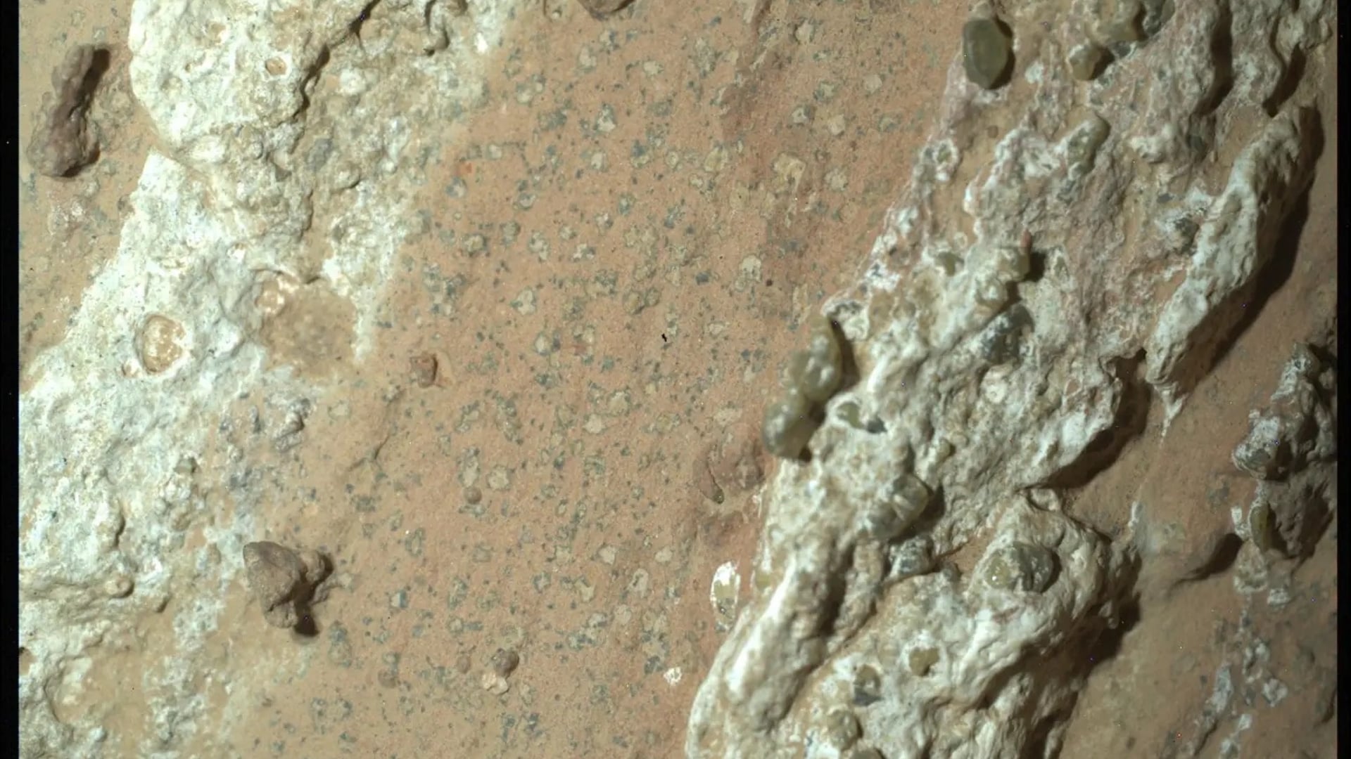 Recent NASA Findings Suggest Possible Life On Mars