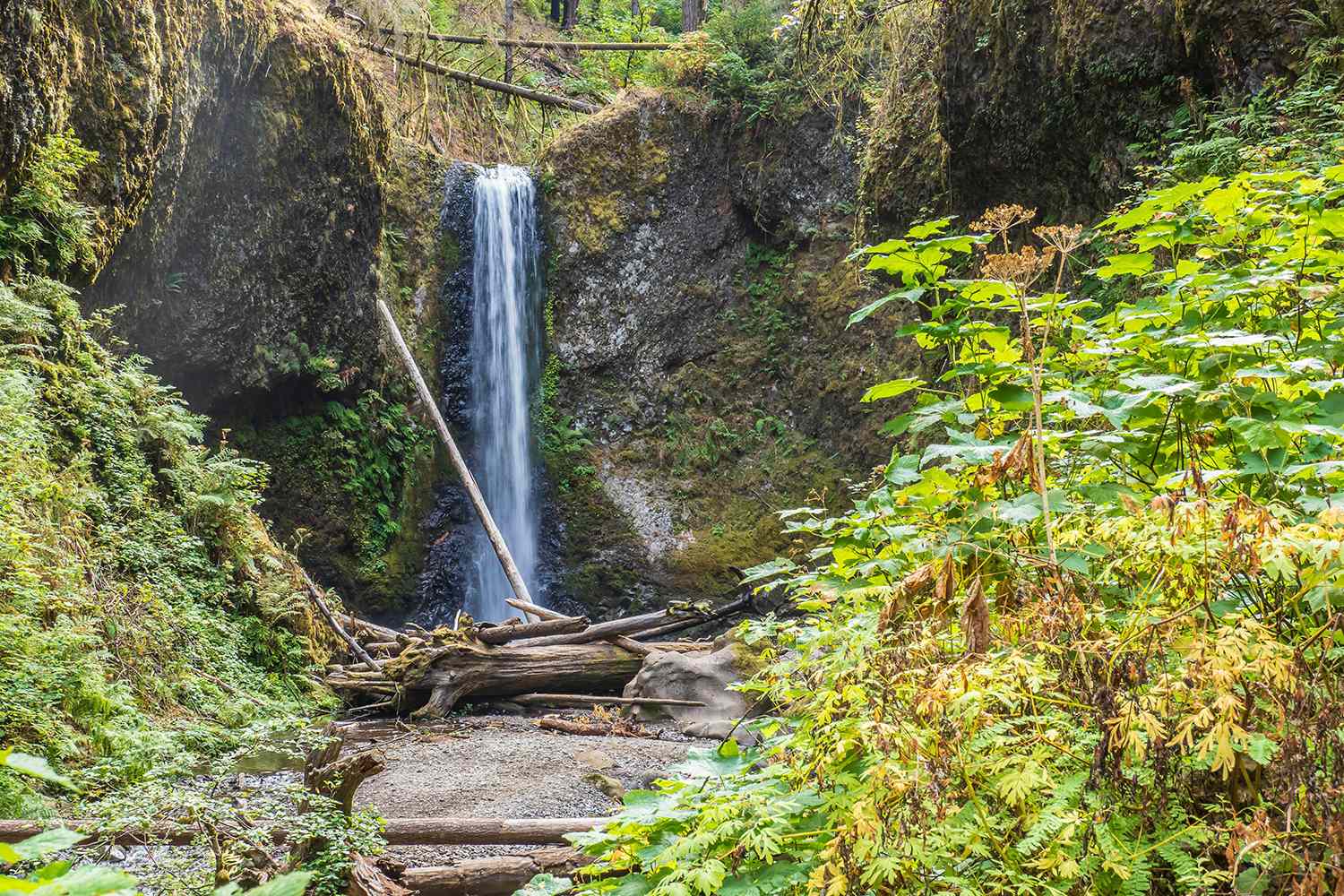 A Missing Hiker Called His Dad for Help After Getting 'Lost' on Oregon ...