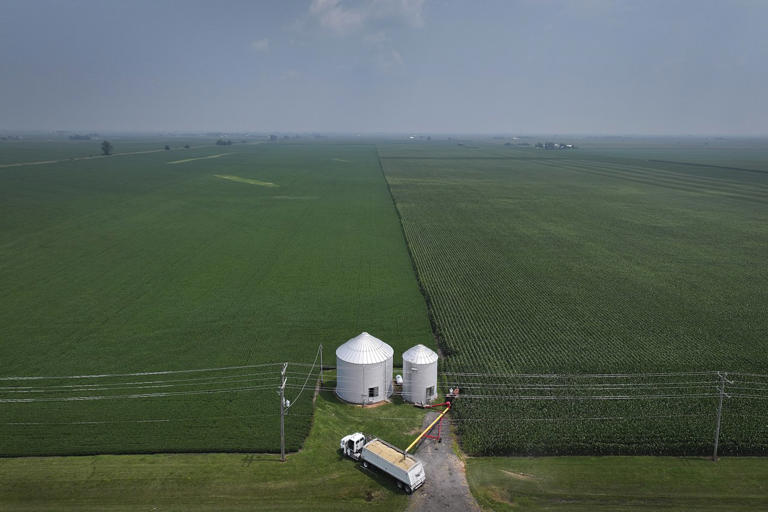 The American Farmers China Is Using as a Trade-War Bargaining Chip