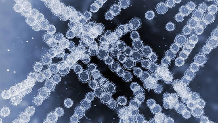 L'avenir de Volkswagen, c'est l'EVX d'Italdesign