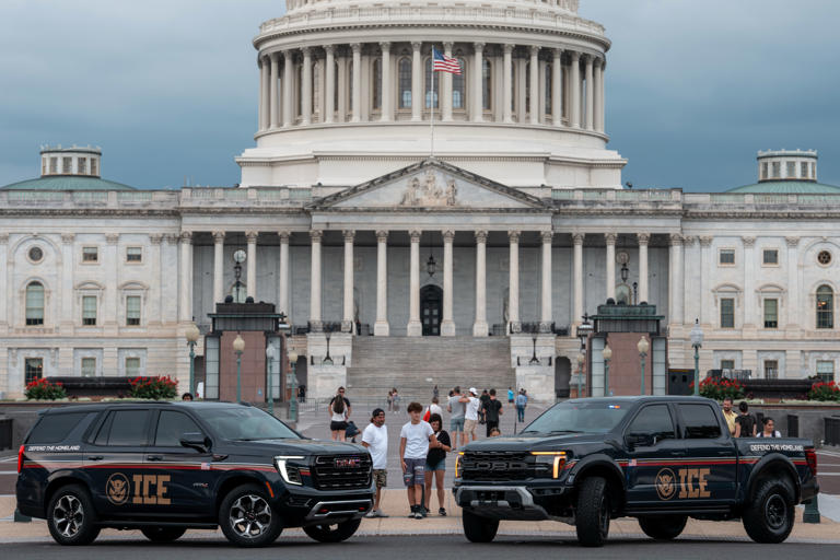 Taxpayers to drop another $1.2 million on new batch of Trumpified ICE ...
