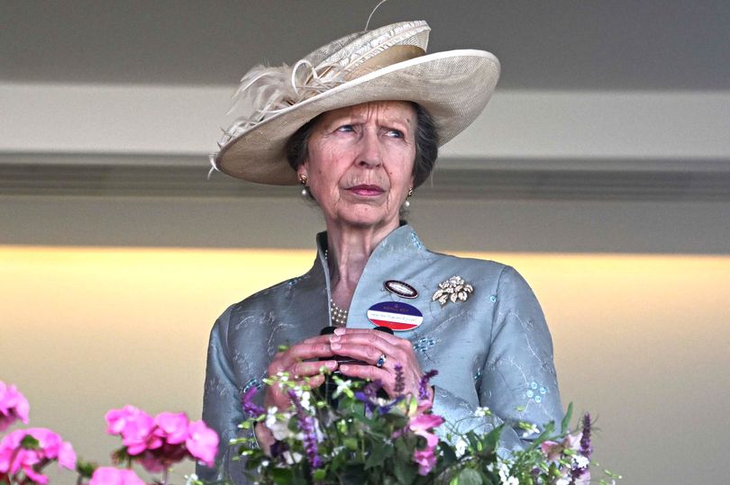 Princess Anne's 'surprising' source of wealth that's helped her amass ...