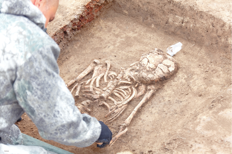 Oldest Human Bones Found Beneath Antarctic Ice Puzzle Scientists