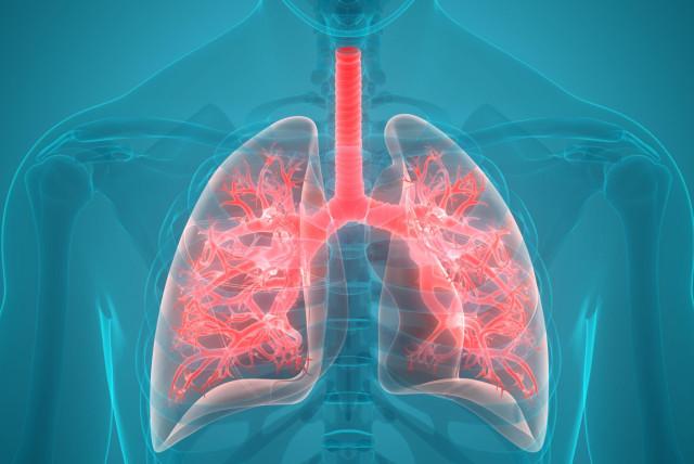 La importancia de proteger los pulmones y mantener hábitos saludables ...