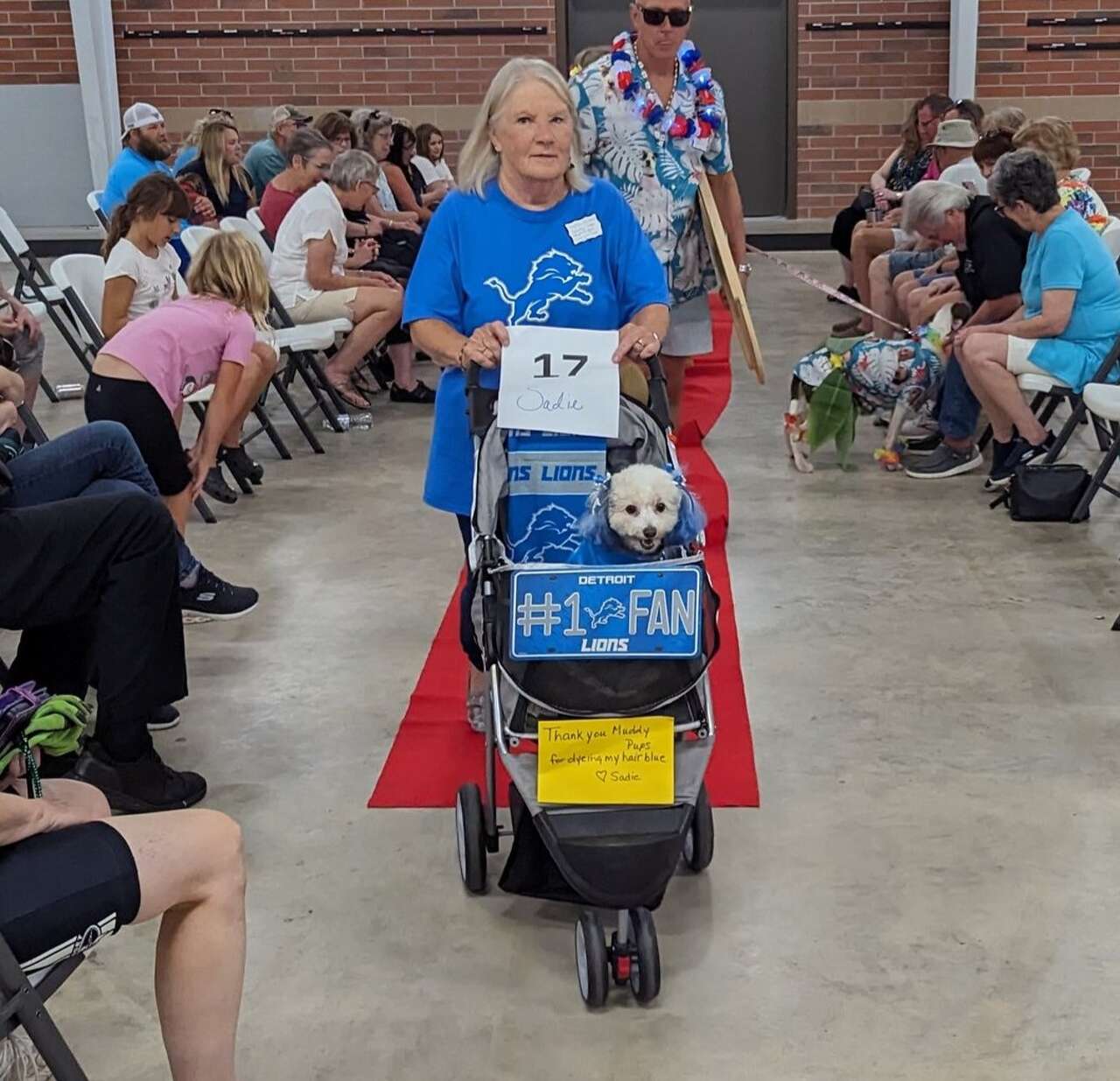 Sit, stay, slay: Dogs will show off costumes at K9 Katwalk on Sept. 13