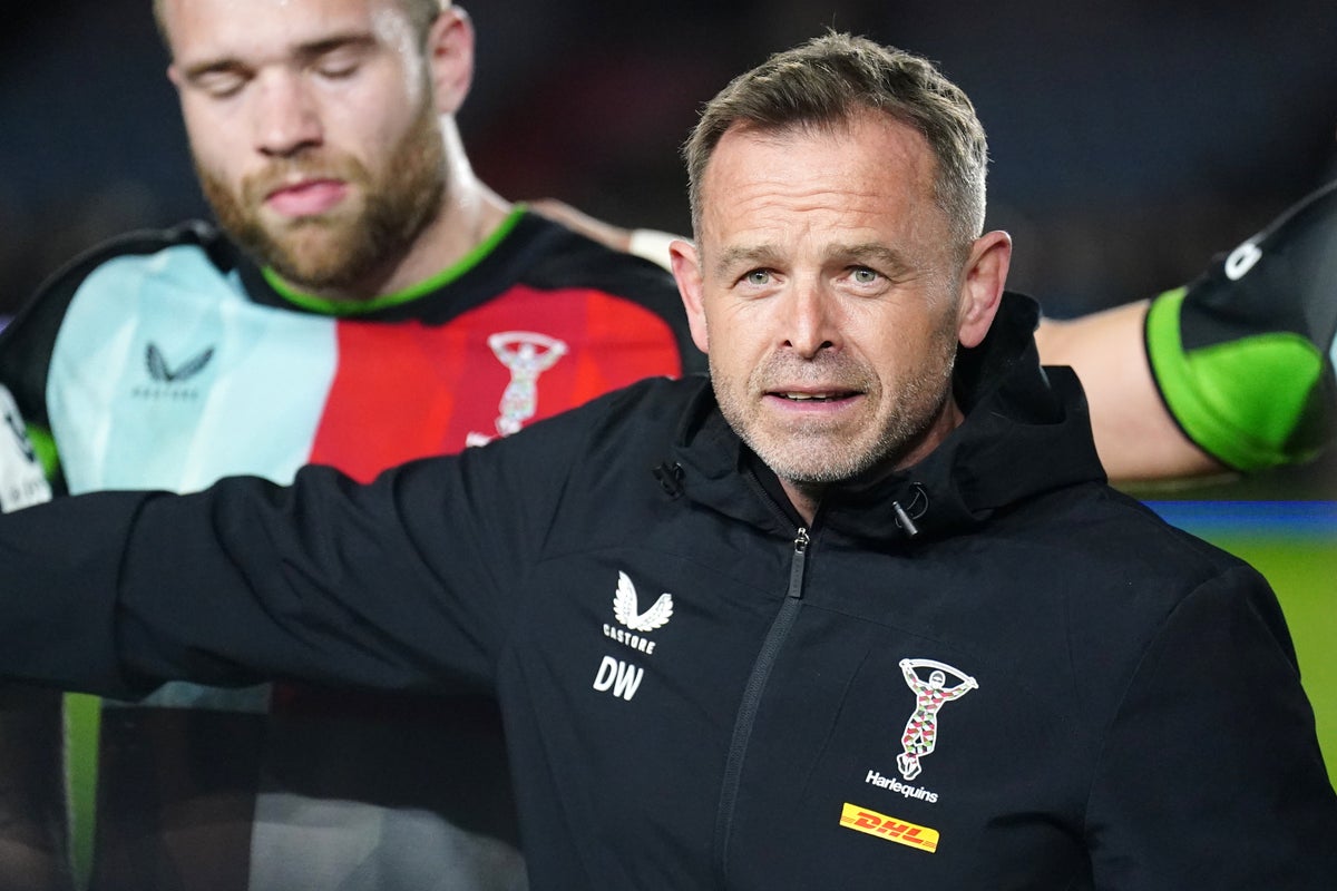 Danny Wilson poached by Wales to leave Harlequins scrambling