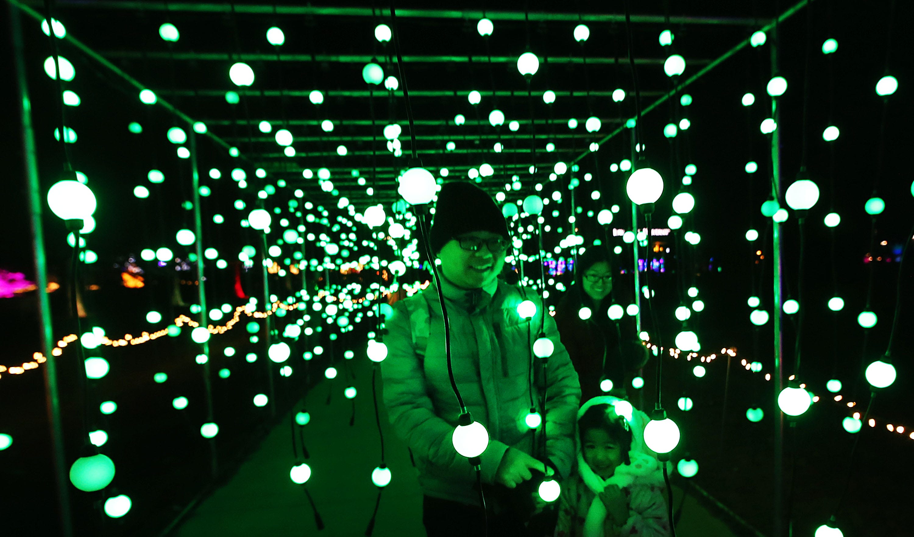Reiman Gardens turns 30 with a Botanical Bash, featuring drones, music ...