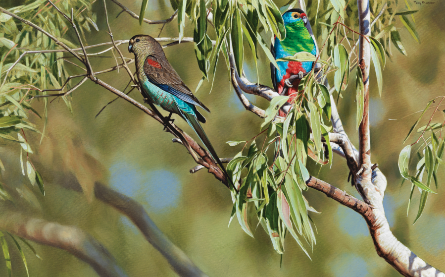 ‘Birds in art’ exhibition soars at Michelson Museum in Marshall