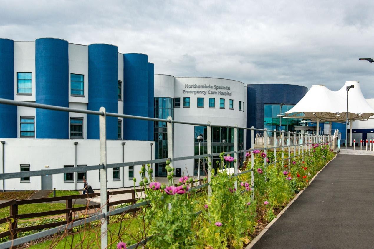 Plans submitted for new build as part of remedial works project at ...