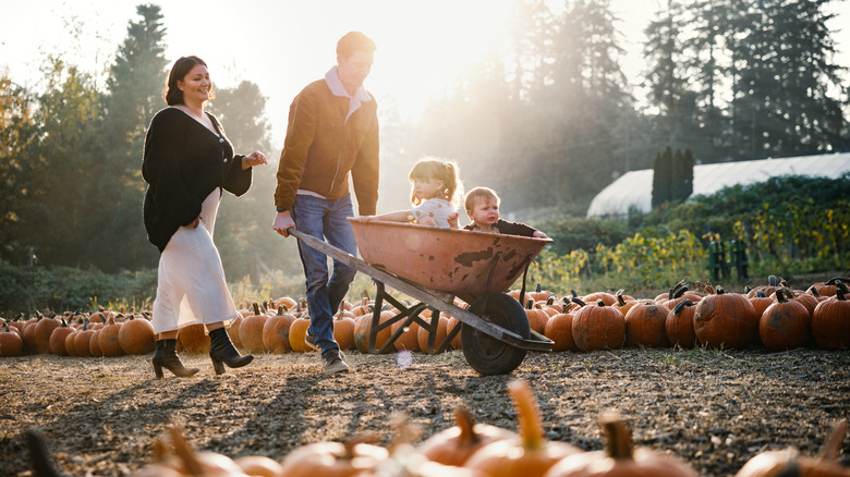 10 Best Pumpkin Patches In America To Visit This Fall