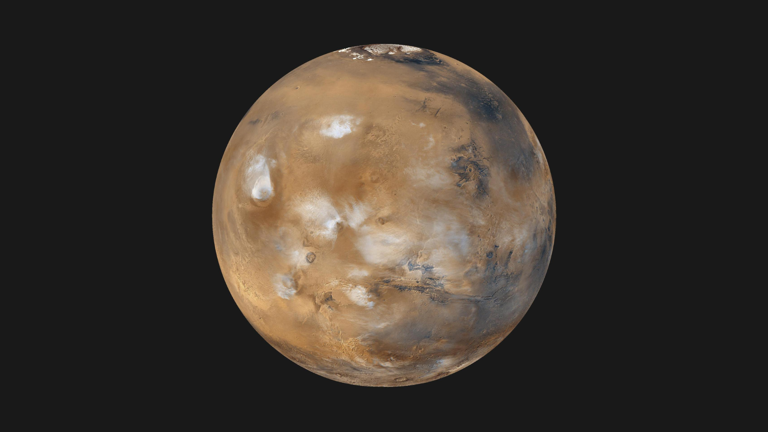 NASA Discovers Potential Biological Structure on Mars