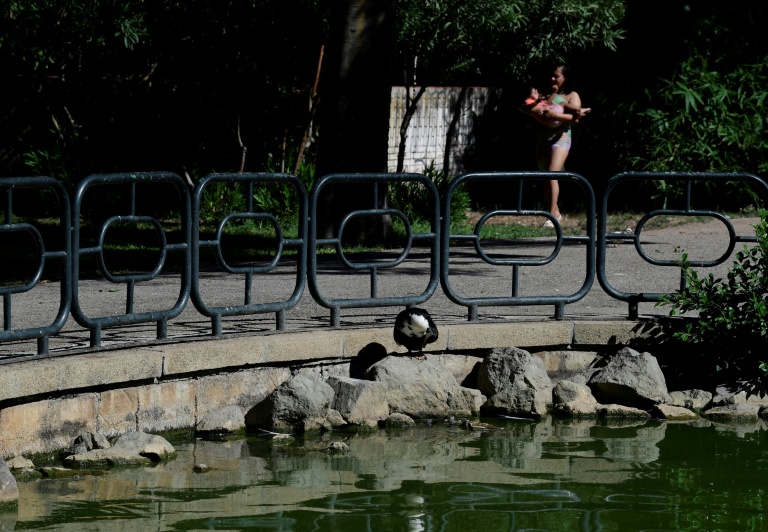 Bird flu outbreak shuts parks in Spain's Andalusia