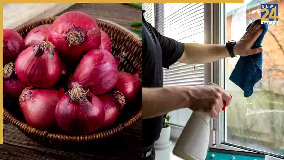 Transform Your Windows with This Simple Onion Cleaning Hack