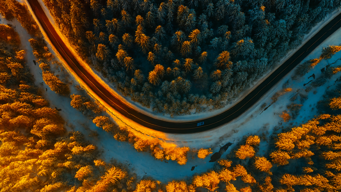 Pure Nature in 4K – A Quiet Break from Noise