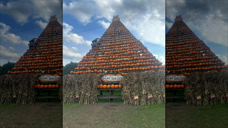 10 Best Pumpkin Patches In America To Visit This Fall
