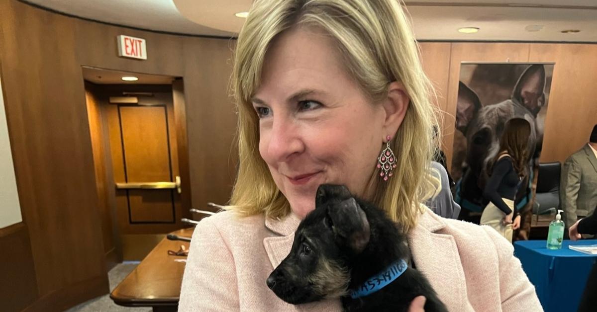 Remembering Minnesota Lawmaker Melissa Hortman and Husband Mark, Who ...